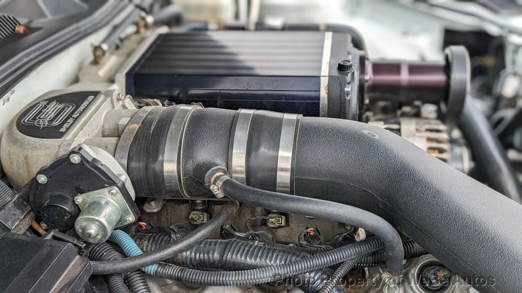 2007 Used Ford Mustang Supercharged, Bill Goldberg's Bull Run Car at ...