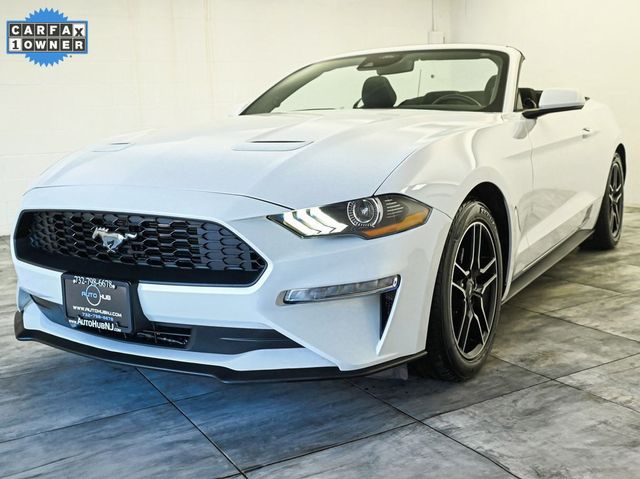 2023 Used Ford Mustang EcoBoost at Dunhill Auto Group Serving South ...