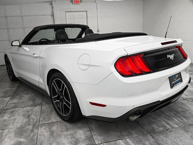 2023 Used Ford Mustang EcoBoost at Dunhill Auto Group Serving South ...