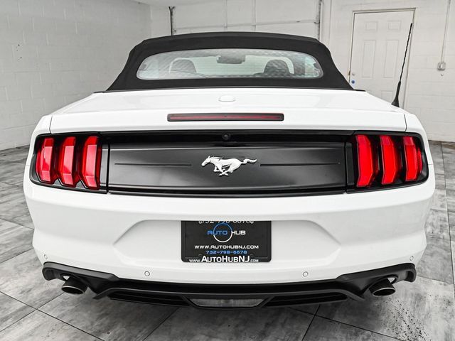 2023 Used Ford Mustang EcoBoost at Dunhill Auto Group Serving South ...